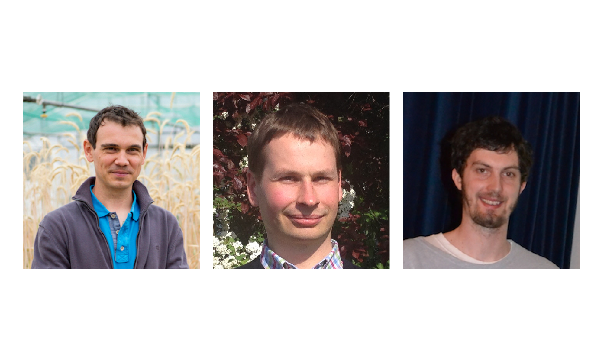 Accueil - Martin Mascher, Frédéric Choulet and Gabriel Keeble-Gagnère